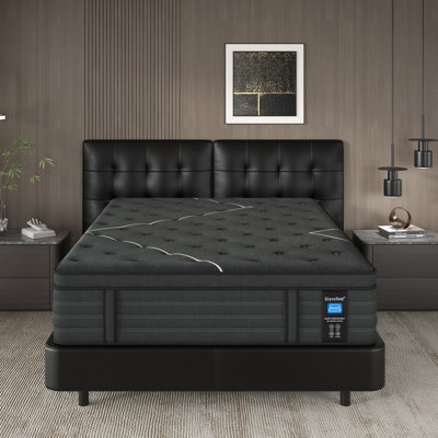 Thurner 14 Extra Firm Euro Top Edge Support Pocket Spring Hybrid Mattress Alwyn Home Mattress Size Queen